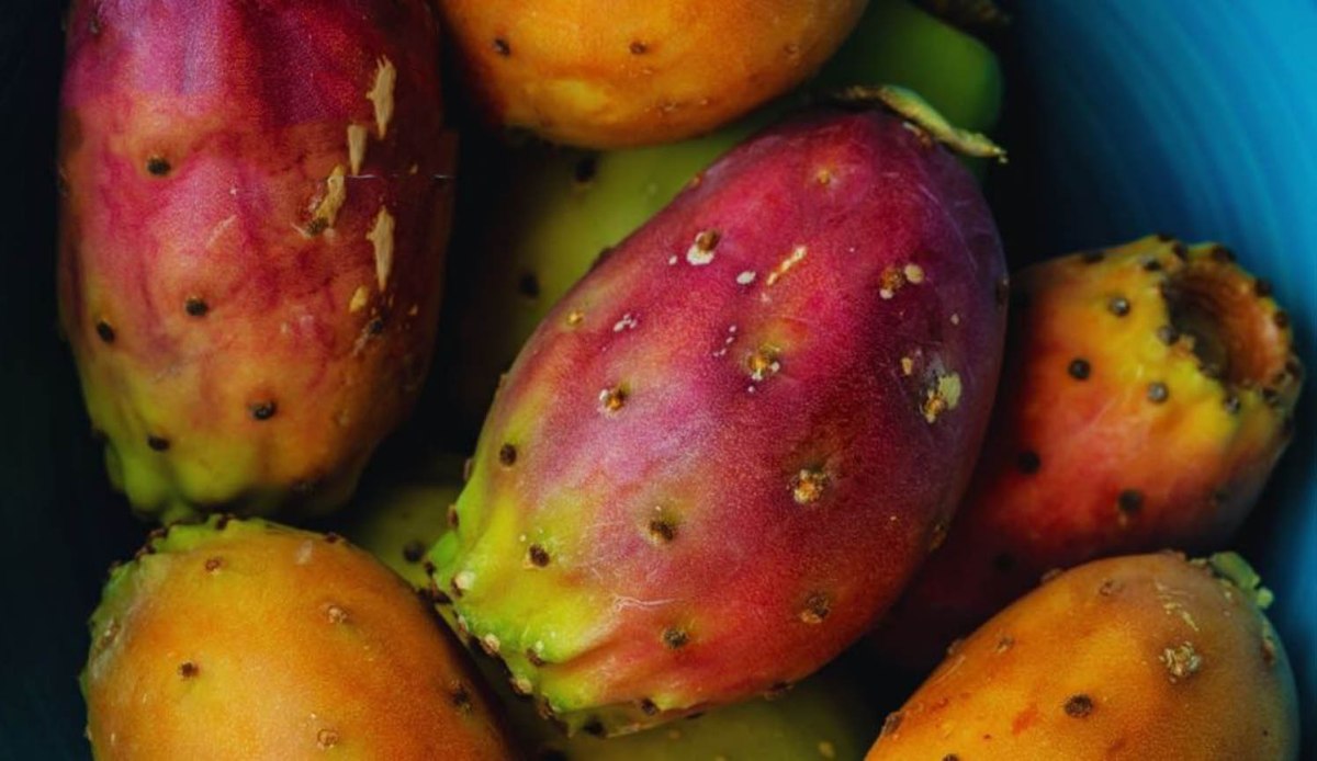 Beneficios de la tuna contra el cáncer de próstata – COEM CORPORATIVO ...